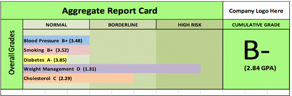 Individual and Aggregate Reporting | The Wellness Company